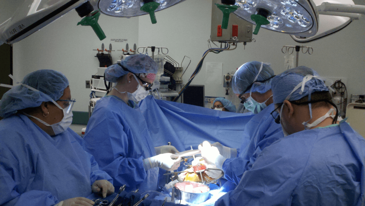 Quality, Safety and Innovation - Sentara History